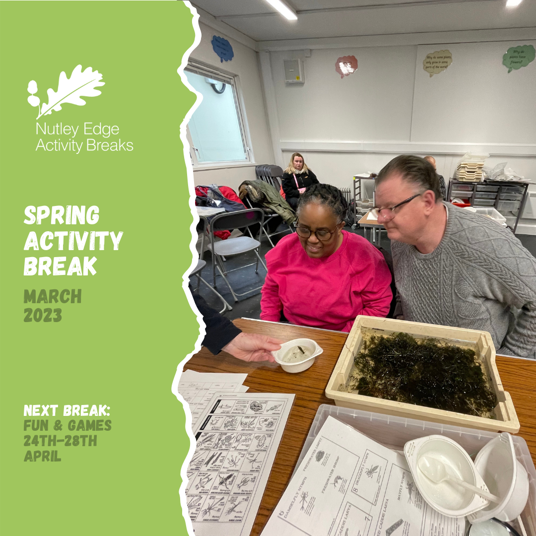 Spring Activity Break 2023 | Outward